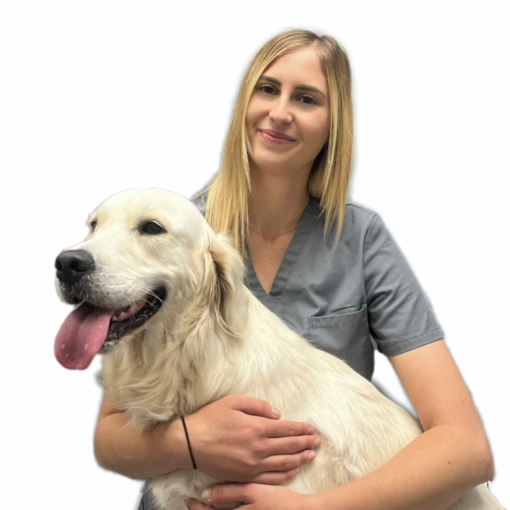 Standort Neudietendorf – Tierärztliche Gruppenpraxis Eichner